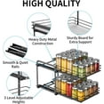 BOIVSHI Double Pull Out Spice Rack Organizer for Cabinets Black with 2 ...