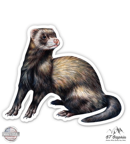 Ferret - 3" Vinyl Sticker - For Car Laptop I-Pad Phone Helmet Hard Hat ...