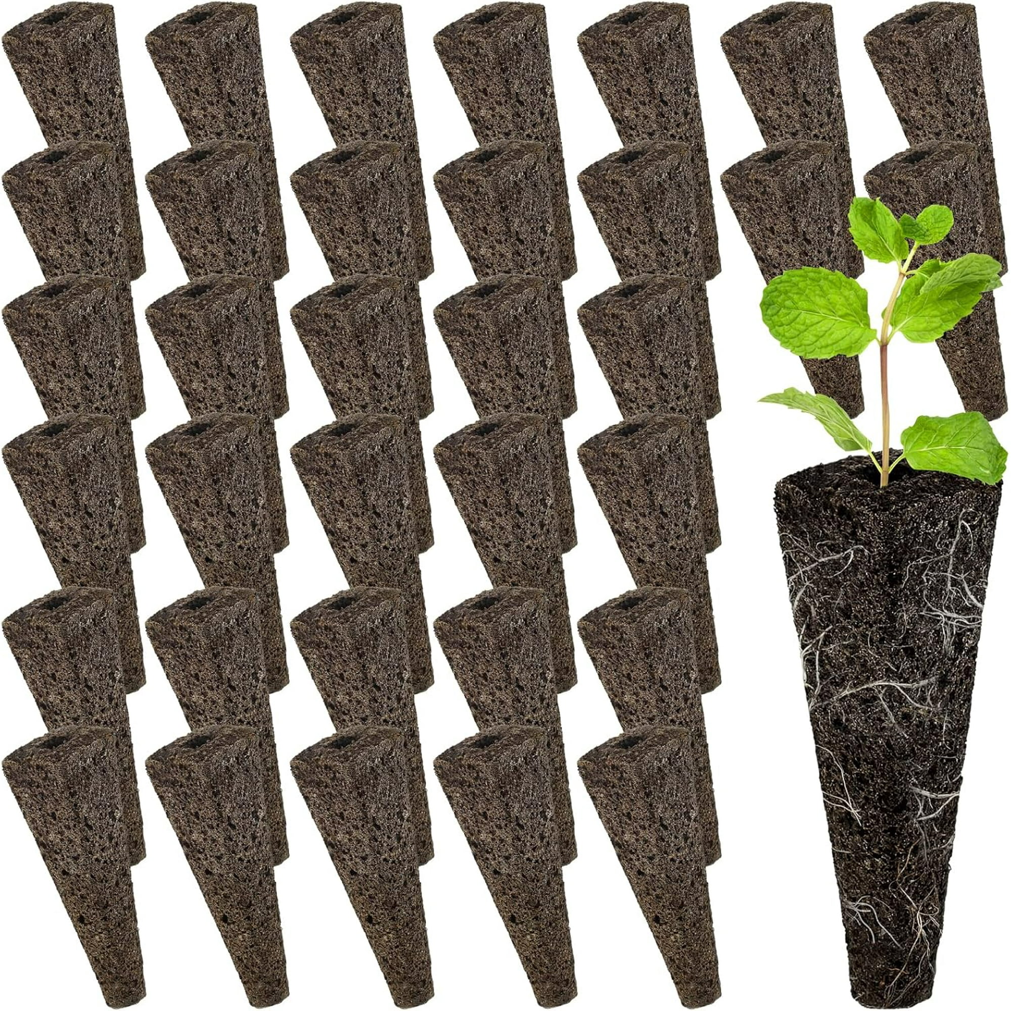 Click here for Salafire 50 Pcs Grow Sponges  Compatible With Aero... prices