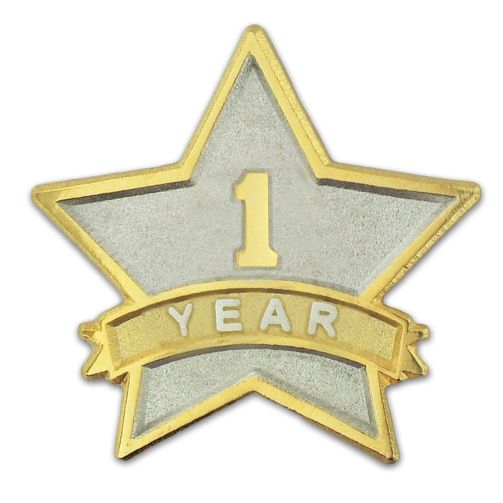 PinMart's 1 Year Service Award Star Corporate Recognition Dual Plated ...