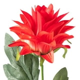 Red Hops Stem by Ashland® - Walmart.com