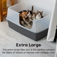 IRIS XXL Open-Top, Side Entry Cat Litter Box with High Sides, Easy to ...