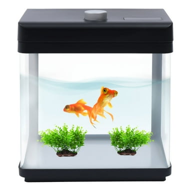 Fluval Spec III Aquarium Kit, 2.6 Gallon, Black - Walmart.com
