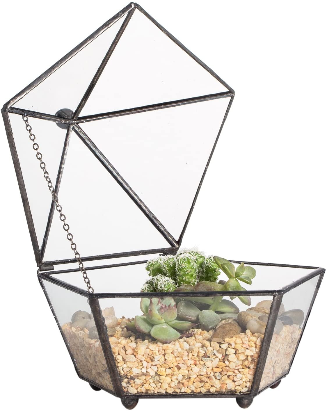 Small Glass Geometric Terrarium Closed Jewel-Boxed Shape Container ...