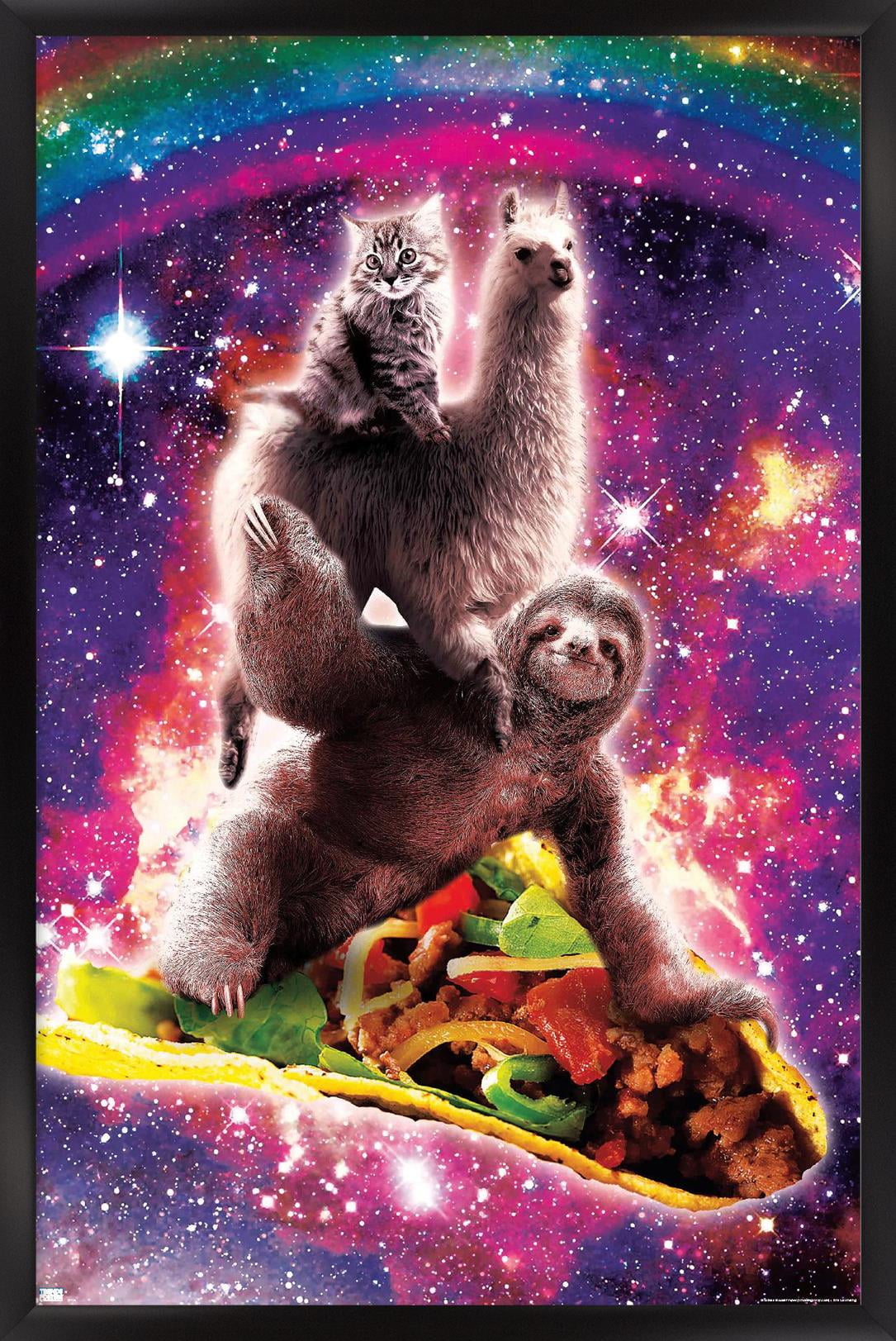 James Booker - Space Sloth Llama Cat Riding Taco Wall Poster, 14.725" x ...
