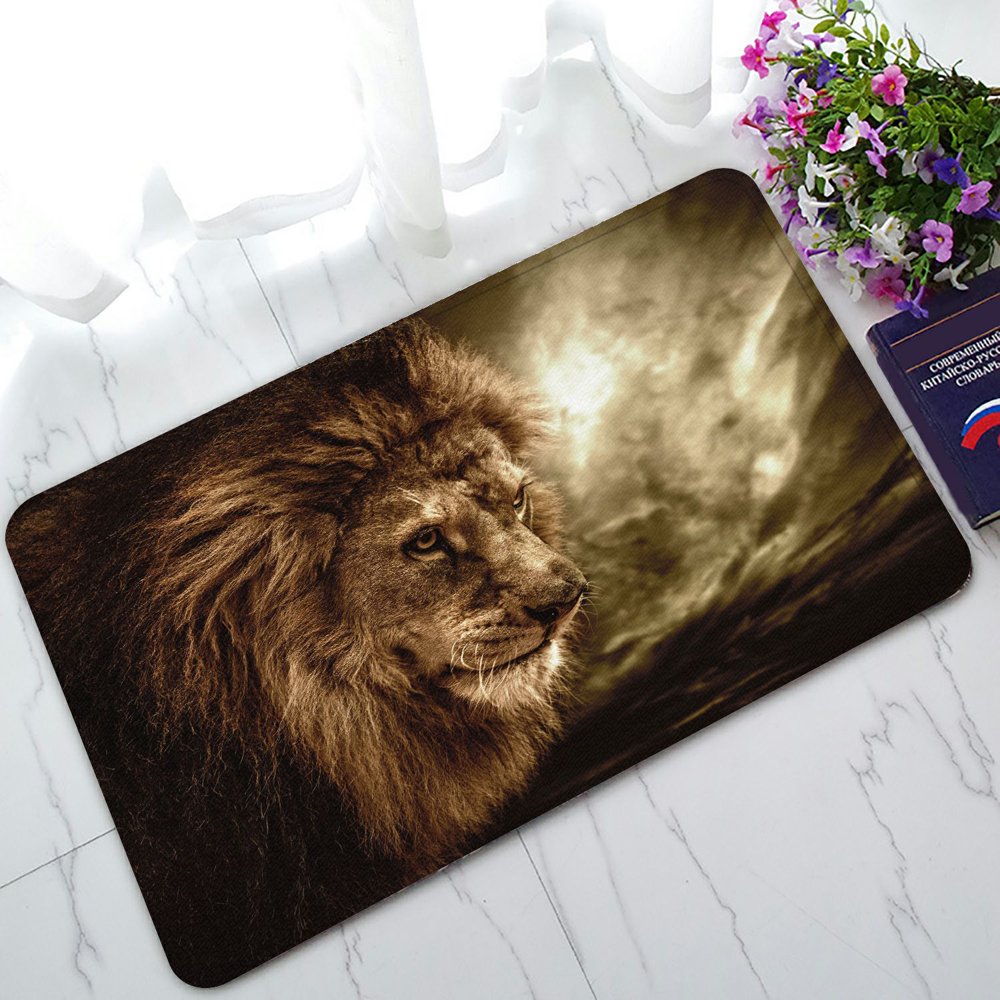 PHFZK Animal Doormat, Brown Fierce Lion Against Stormy Sky Doormat ...