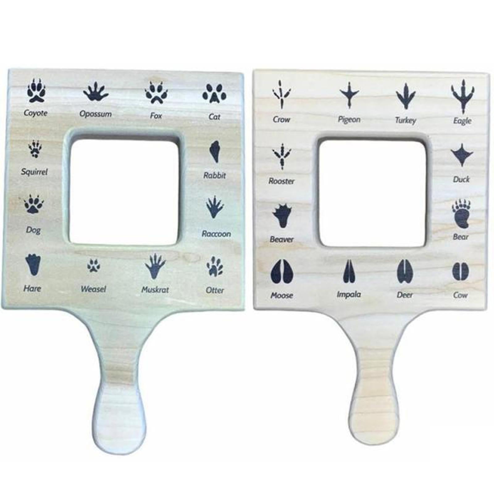 Nature Guide Finder Leaf Finder Cloud Viewer Cloud Identification Guide ...