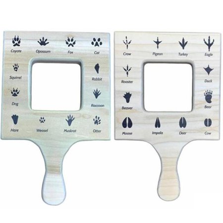 Nature Guide Finder Leaf Finder Cloud Viewer Cloud Identification Guide ...