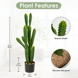 32.5" Tall Fake Cactus Plant Potted Large Cactus 'Euphorbia Accruensis ...