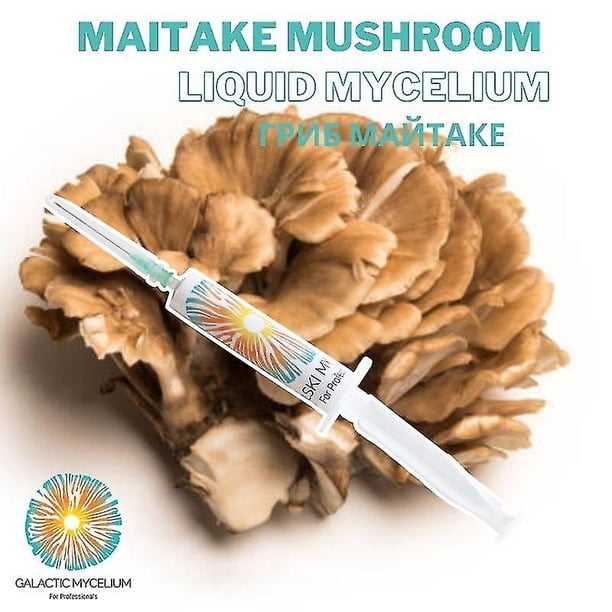 Maitake Mushroom (hens Of Woods) Liquid Culture 5 Cc Liquid Syringes ...