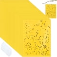 ZULAR 30 Pack Yellow Sticky Traps,Gnat Trap,Gnat Killer,Fruit Fly Paper ...
