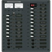 Blue Sea Systems 8084 AC Main and 6-Position/DC Main and 15-Position ...