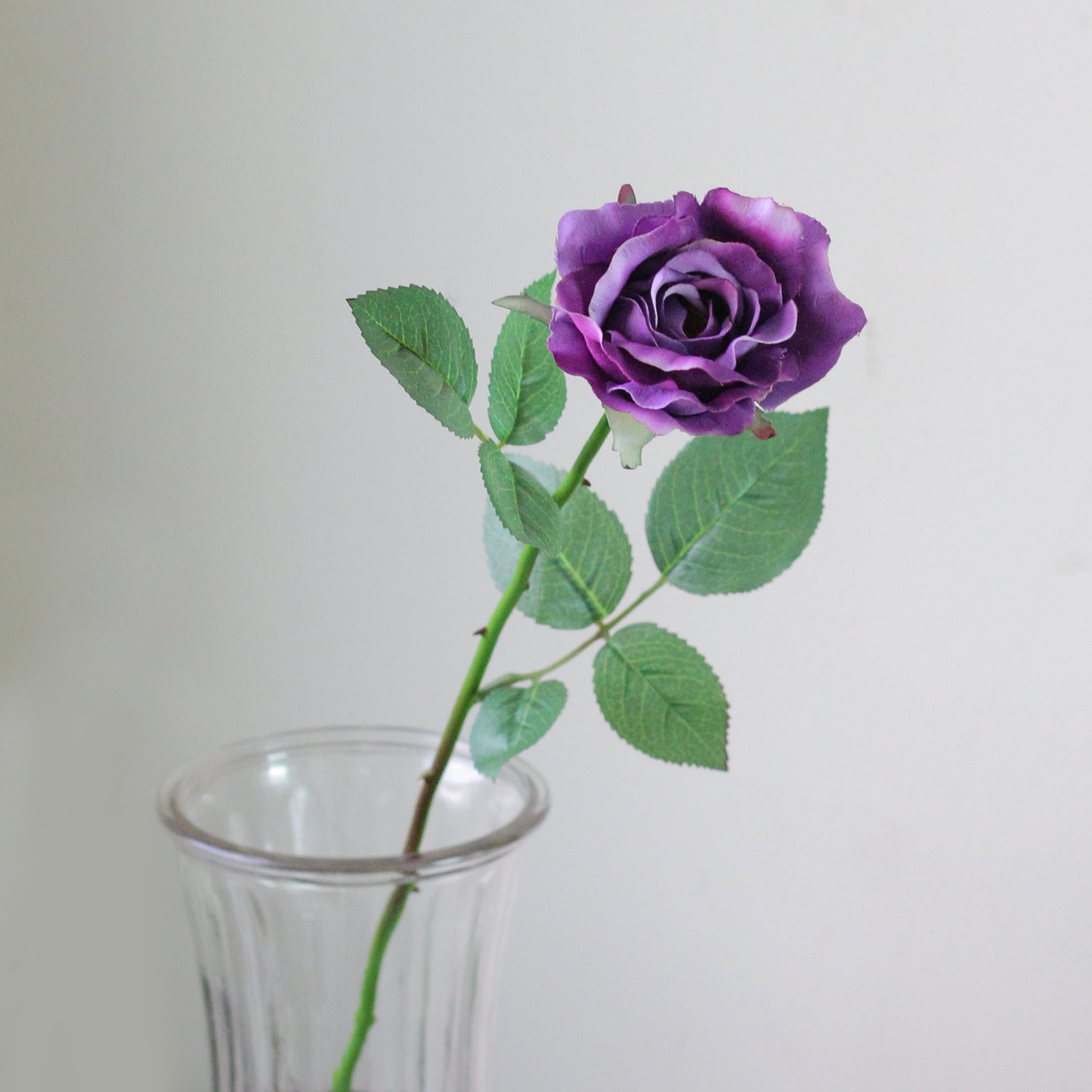 Single Purple Rose
