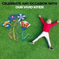 Assorted Flying Kite Pack by Fun Express, 28 x 28 with 54 in Tails ...