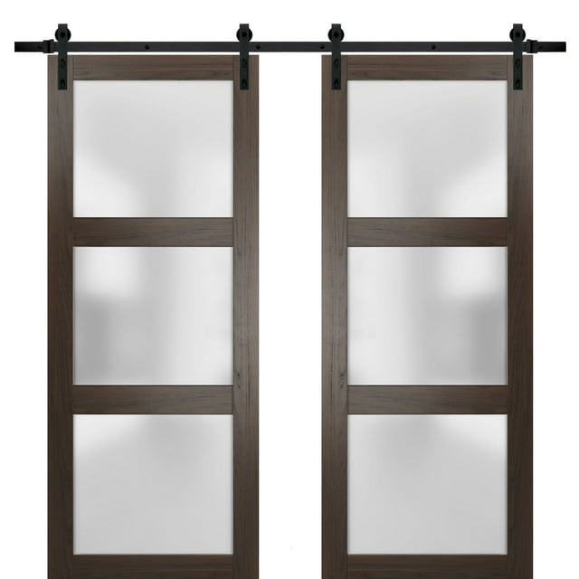 Sturdy Double Barn Door 64 x 80 inches with Frosted Glass | Lucia 2552 ...