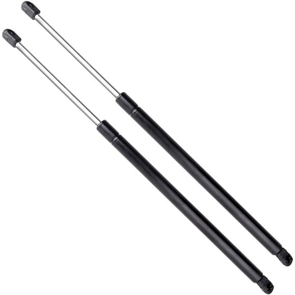 Tahoe Rear Hatch Struts