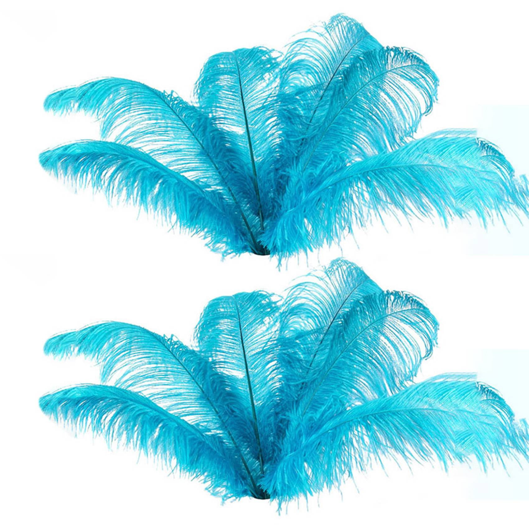 Click here for Unbranded 20 Pcs Natural Ostrich Feathers Wedding... prices