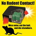 d-CON Refillable Mouse Poison Bait Station, Rodent Control, 3 Stations ...