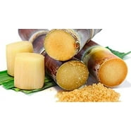 50 MENNONITE SORGHUM Sugar Cane Sorghum Bicolor Grain Vegetable Seeds ...