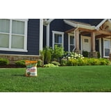 Scotts Turf Builder SummerGuard Fertilizer & Yard Feed with Insect ...