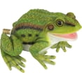 Happy Herman The Frog Decorative Pond Statuary Fountain Spitter ...