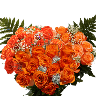 One Dozen Pink Roses with Baby's breath and Green- Fresh Flower ...