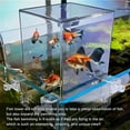 Fish Tank Aquarium Lookout Tower, Negative Pressure Vacuum Suspended ...