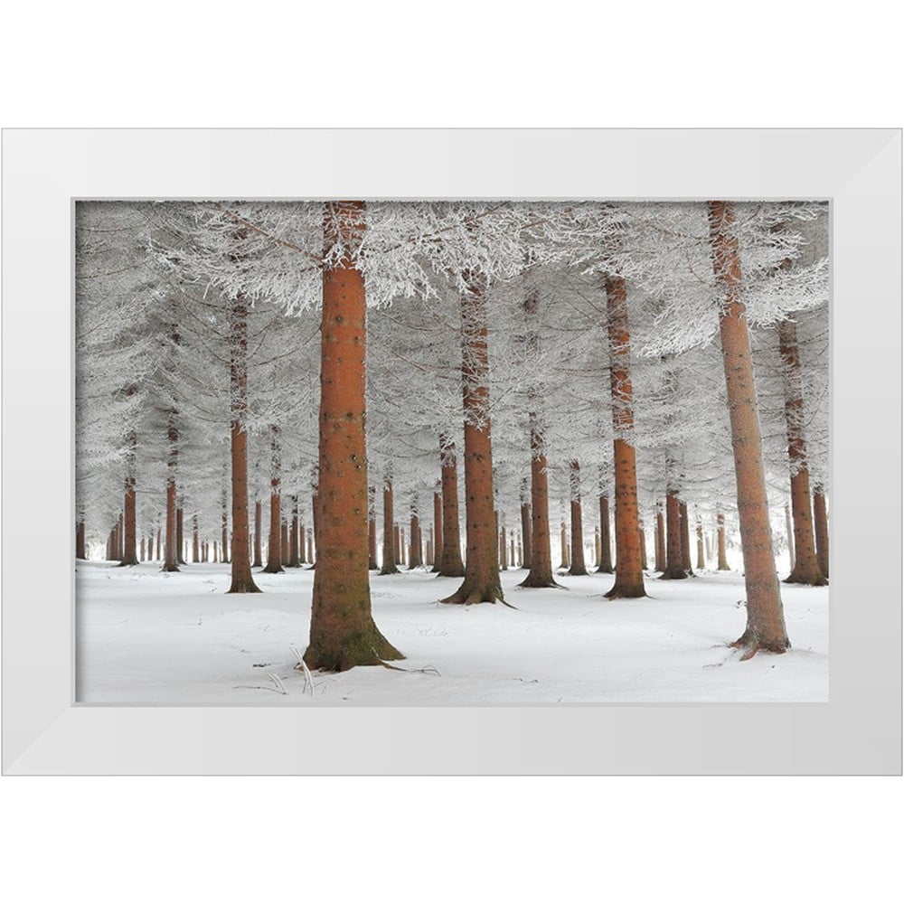 Petrovic, Dragisa 32x23 White Modern Wood Framed Museum Art Print ...
