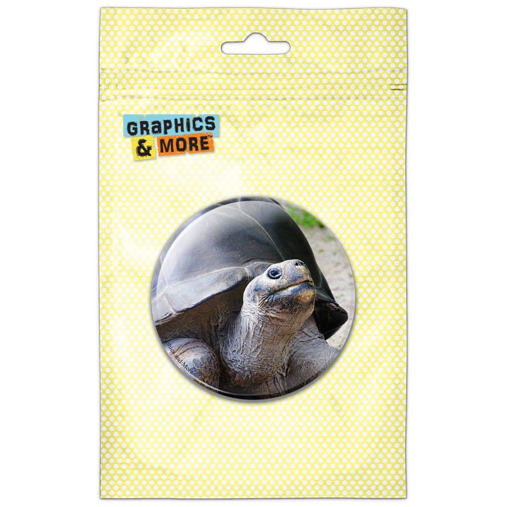 Giant Tortoise Turtle Walking Refrigerator Button Magnet - Walmart.com