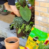 Miracle-Gro Potting Mix 50L, MG Potting Mix 50L - Walmart.ca