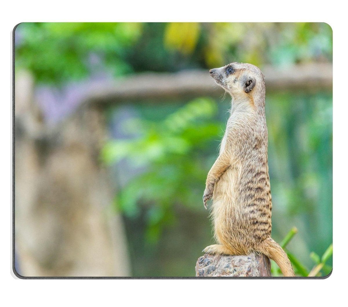 POPCreation Meerkat standing upright Mouse pads Gaming Mouse Pad 9.84x7 ...