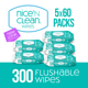 Nice 'N Clean Flushable Wet Wipes, 5 Packs of 60 Wipes, 300 Total Wipes ...