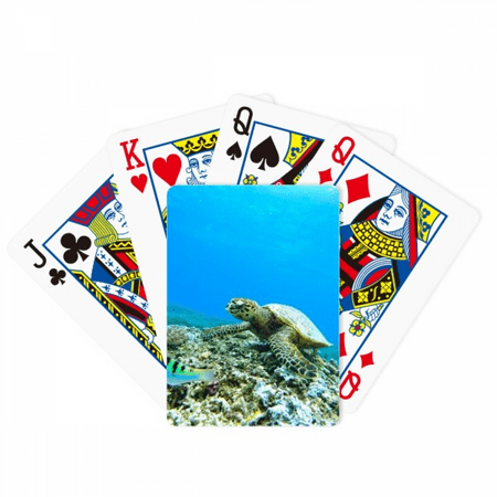 Ocean Sea Turtle Fish Science Nature Picture Poker Playing Magic Card ...
