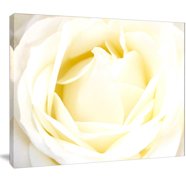 Masterpiece Art Gallery Bombshell Bloom II Roses By Nan Canvas Art ...