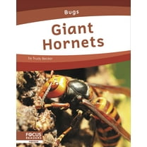 Bees : A Honeyed History (Hardcover) - Walmart.com
