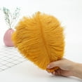 AUDeals Artificial Feather 23cm or So Stage Props Feather Wall Color ...