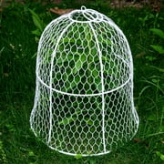Plant Cages To Protect From Rabbits