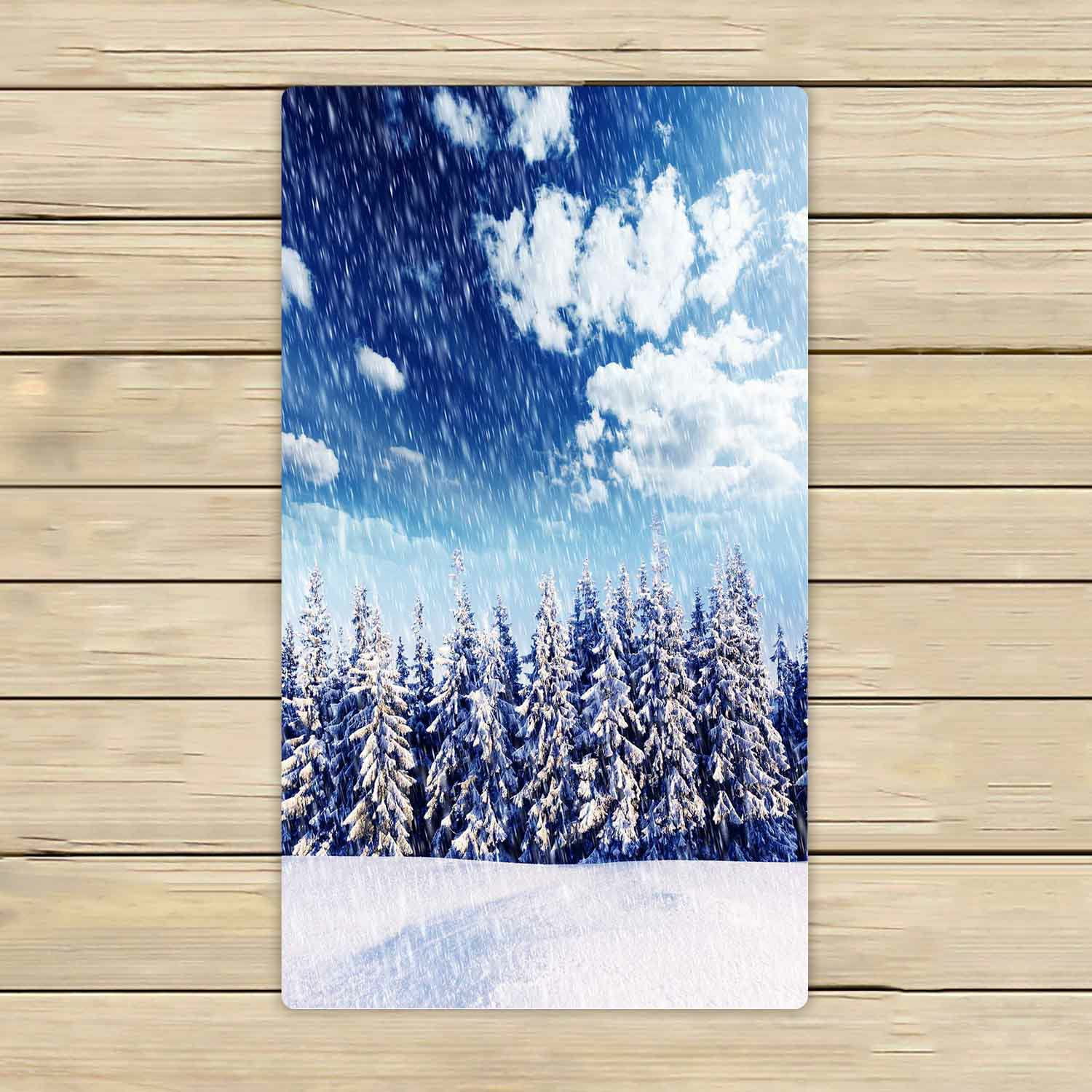 PHFZK Winter Scene Towel, Beautiful Winter Landscape with Snowy Trees ...
