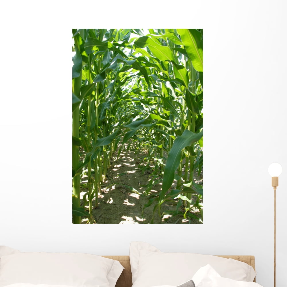 Corn Stalk Rows Wall Mural Decal Sticker, Wallmonkeys Peel & Stick ...
