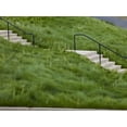 Eretz 3lb Creeping Red Fescue Seed - Oregon Grown, No Fillers or Weed ...