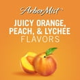 Arbor Mist Peach Moscato Sweet Fruit Wine, 1.5L Bottle - Walmart.com