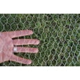 Gopher Block - Heavy Duty Galvanized Steel Wire Mesh - Gopher Resistant ...