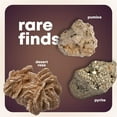 Dan&Darci Rock and Mineral Kit, 250+ Gems and Fossils, Learning Mat, Display Box, STEM Toy ...