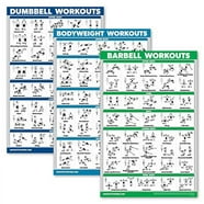 Fitness Workout Posters for Home Gym - Exercise Posters for Full Body ...