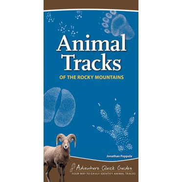 Adventure Quick Guides: Animal Tracks of the Southwest: Your Way to ...