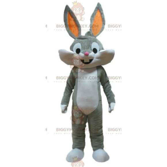 Bugs Bunny Costumes