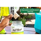 Sterling International Rescue Fly Trap - Outdoor Reusable Canister ...