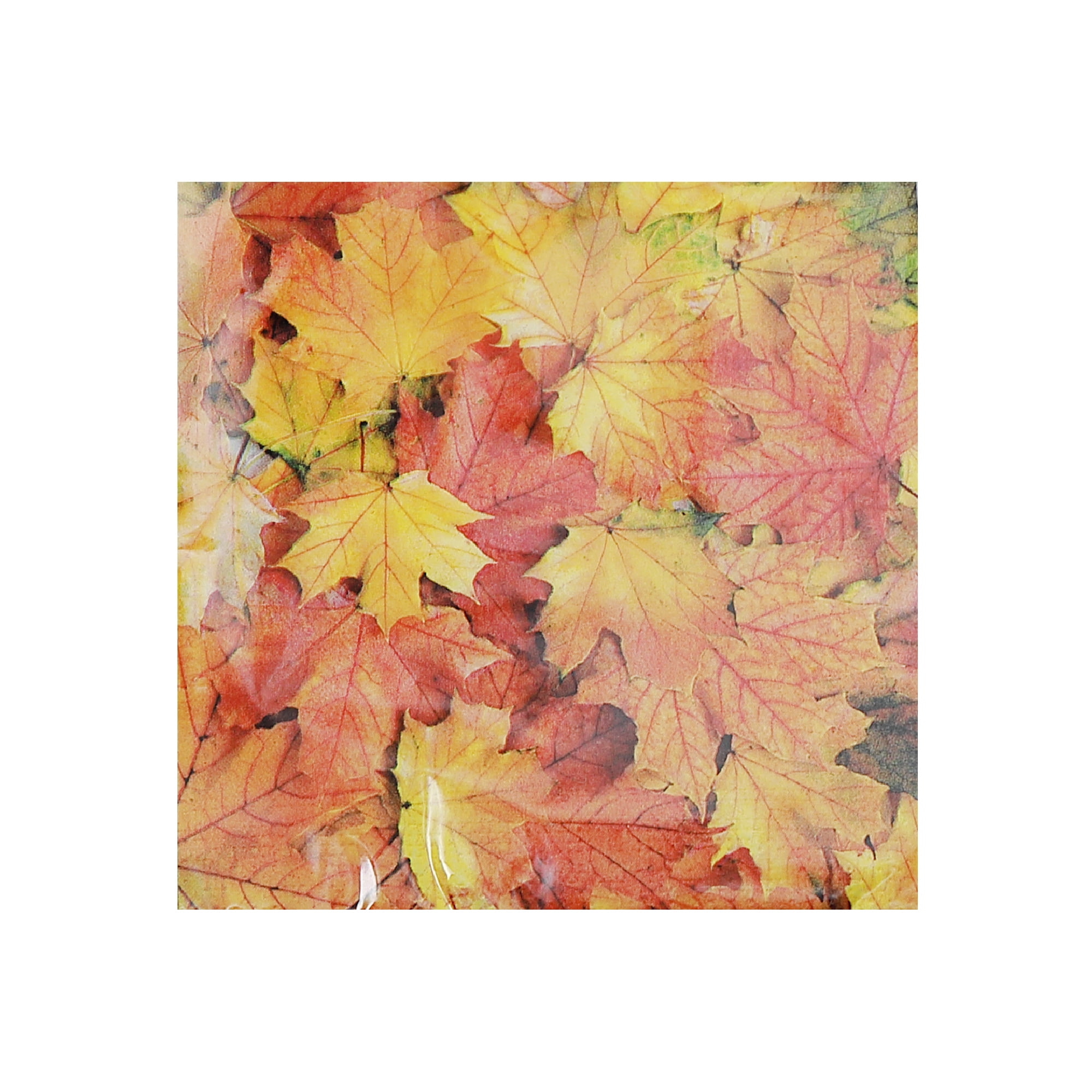 Click here for Ih Casadécor 20 Pack Luncheon 3 Ply Napkin (Autumn... prices