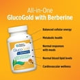Doctors’ Preferred GlucoGold with Berberine, Healthy Blood Sugar ...