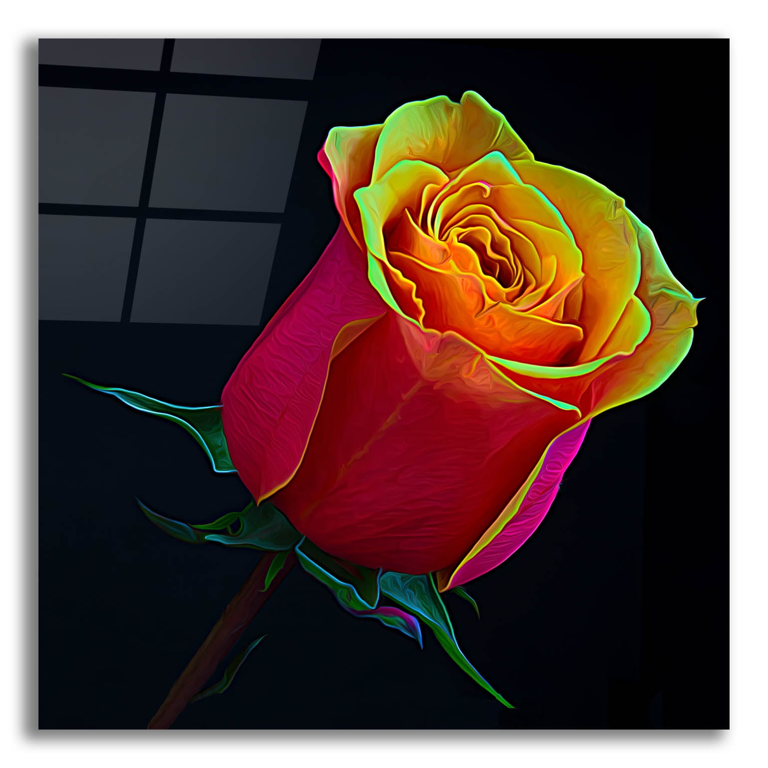 Epic Art 'Little Rosebud' by Pamela Plummer, Acrylic Glass Wall Art, 12 ...